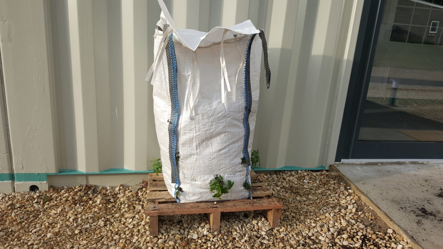 How to make a sack garden